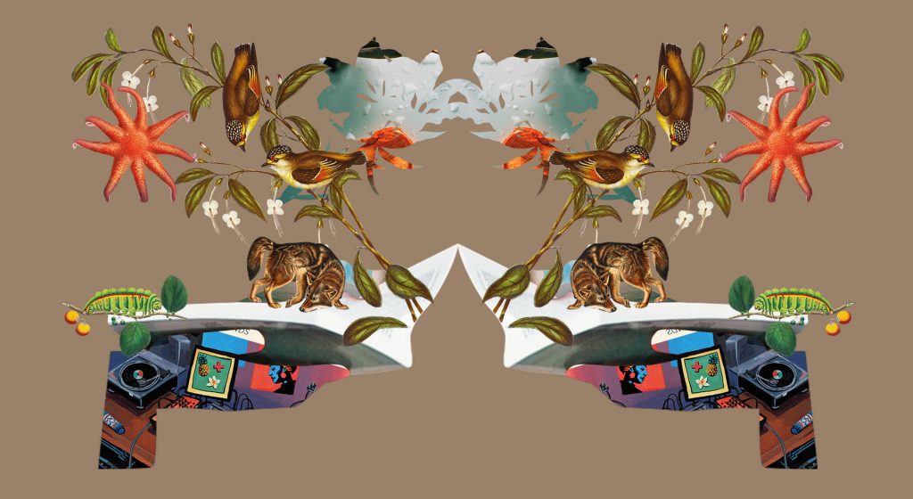 Turn the Page | Scratch First